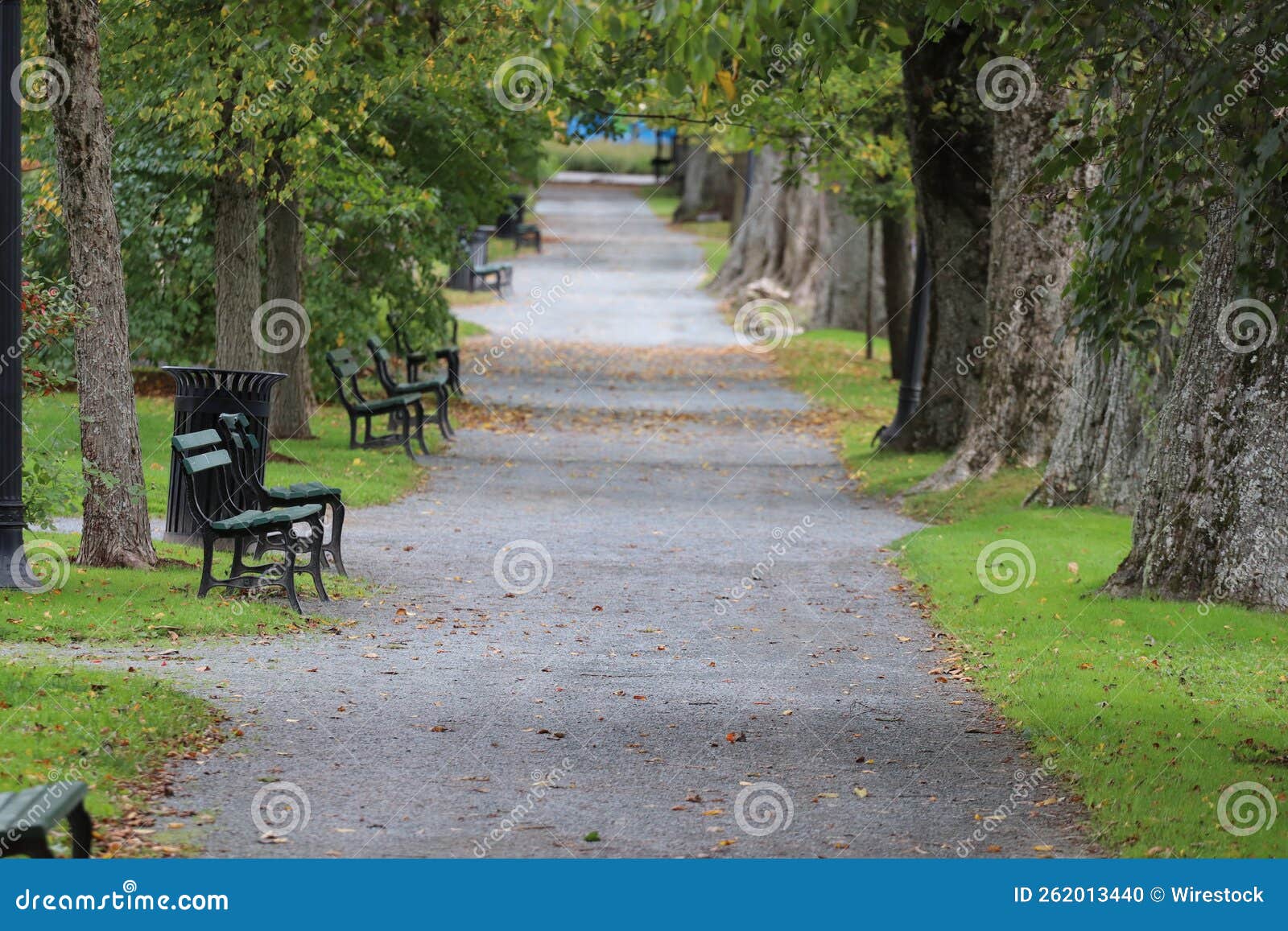 Benches and Trash Cans in Halifax Public Gardens. Canada Stock Photo ...
