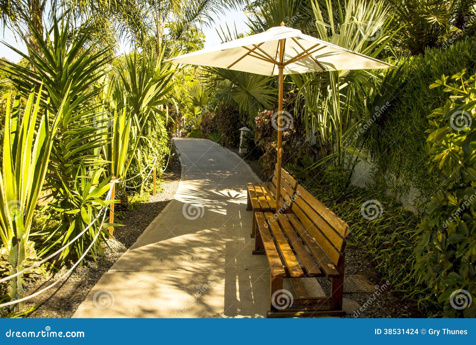 Benches under parasol stock photo. Image of benches, cool - 38531424