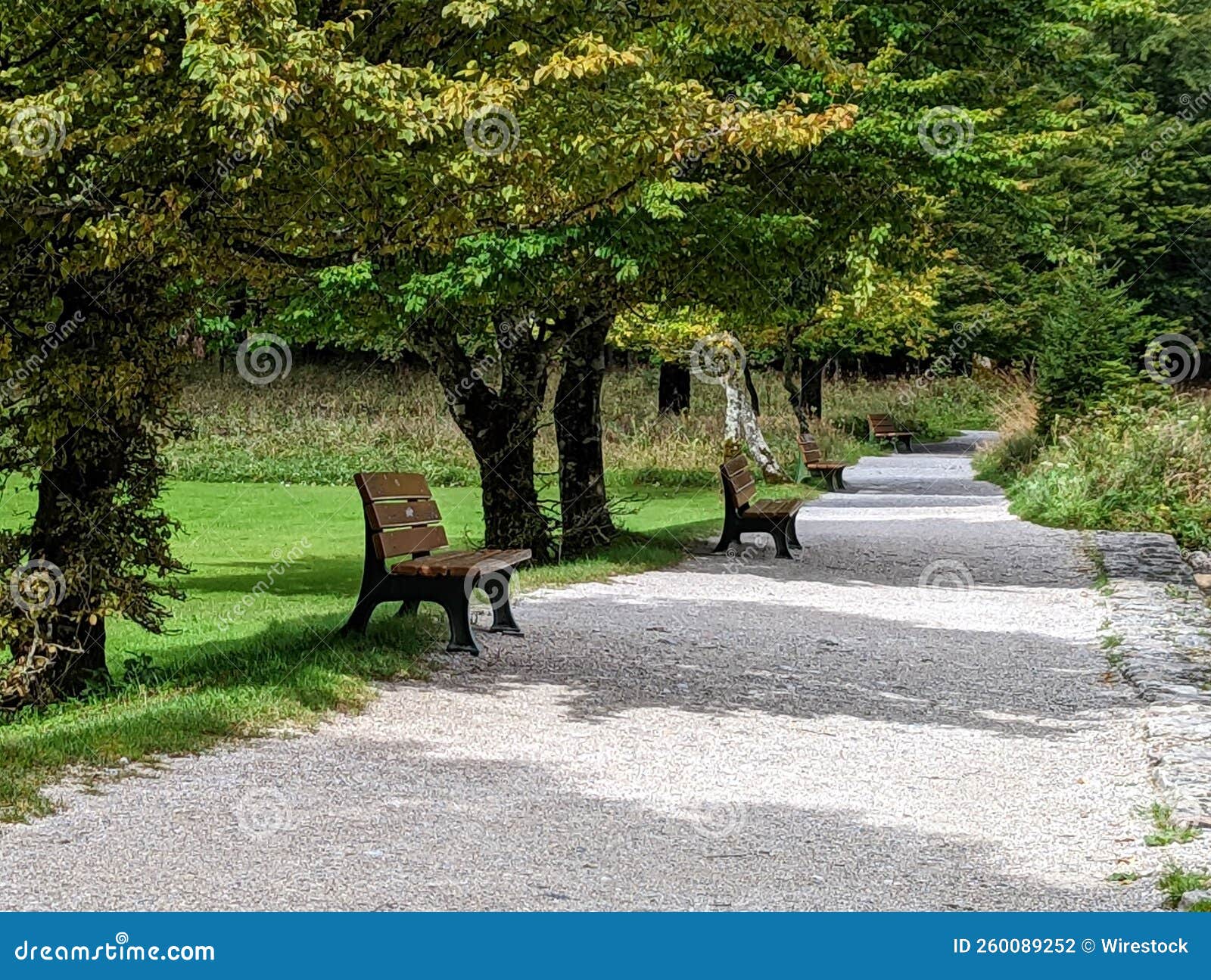 Benches Under Shady Tree Row and Gravel Path in a Park Stock Photo ...