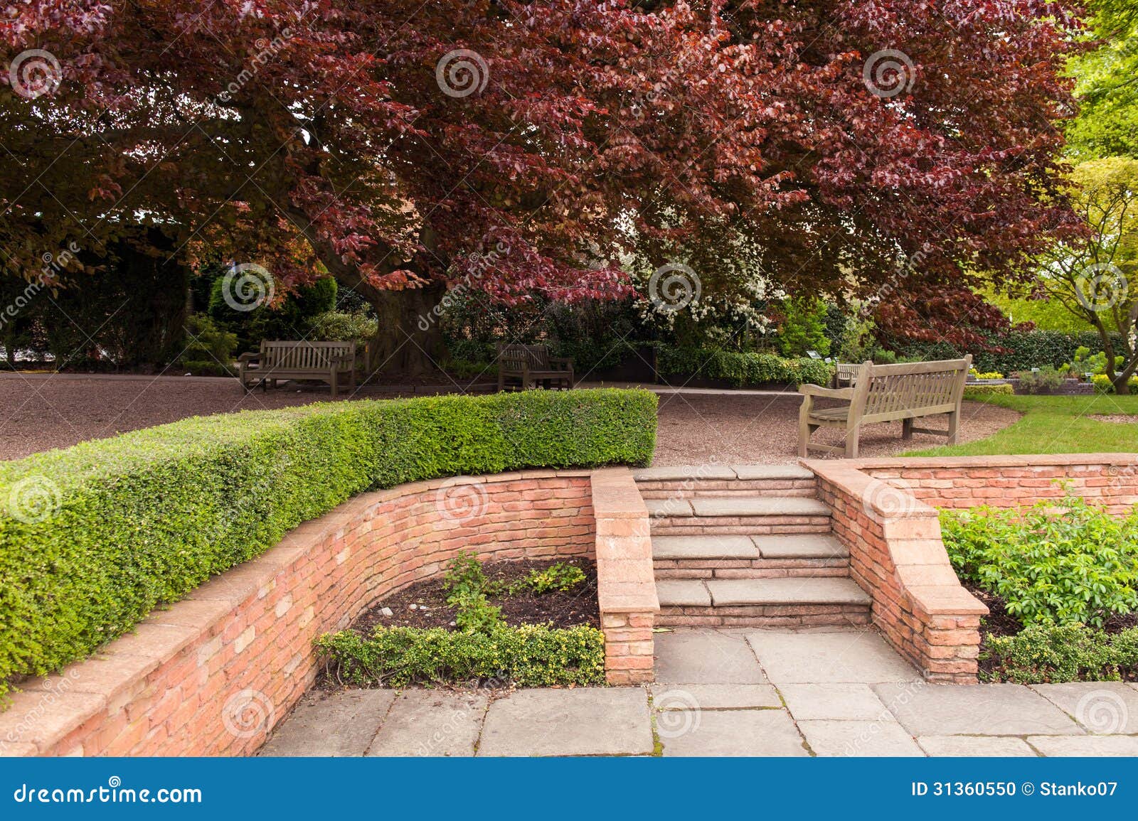 Benches under tree stock photo. Image of environmental - 31360550