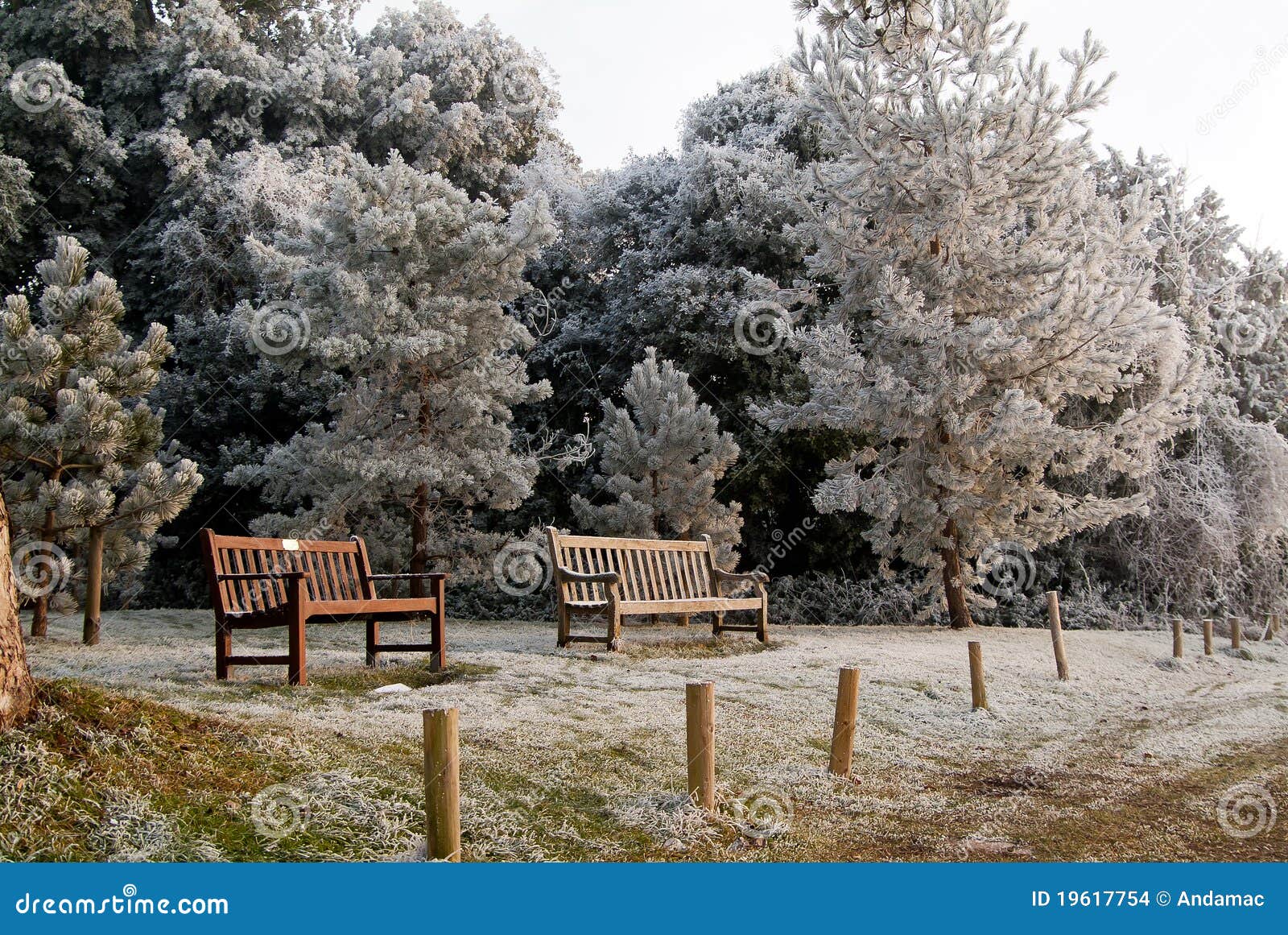 Benches in Winter in the English Countryside Stock Photo - Image of ...