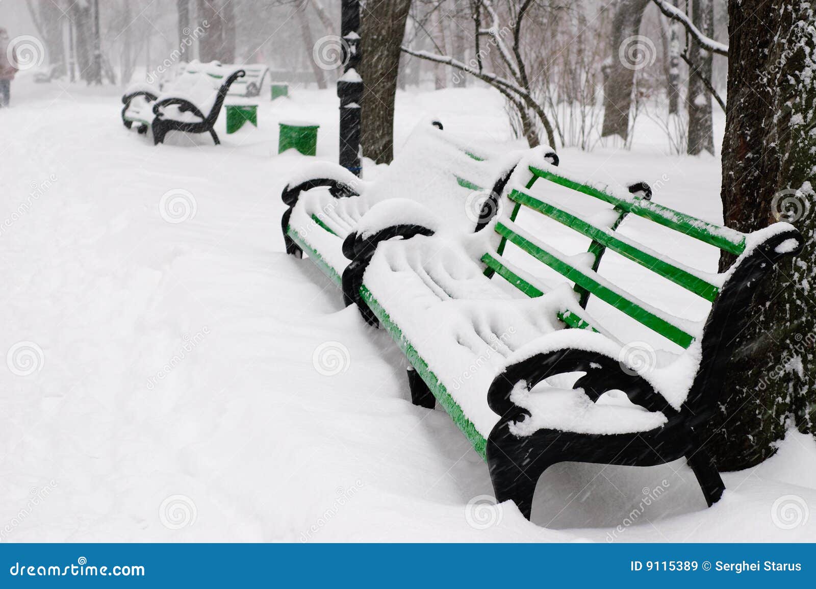 Benches in the winter park stock image. Image of weather - 9115389