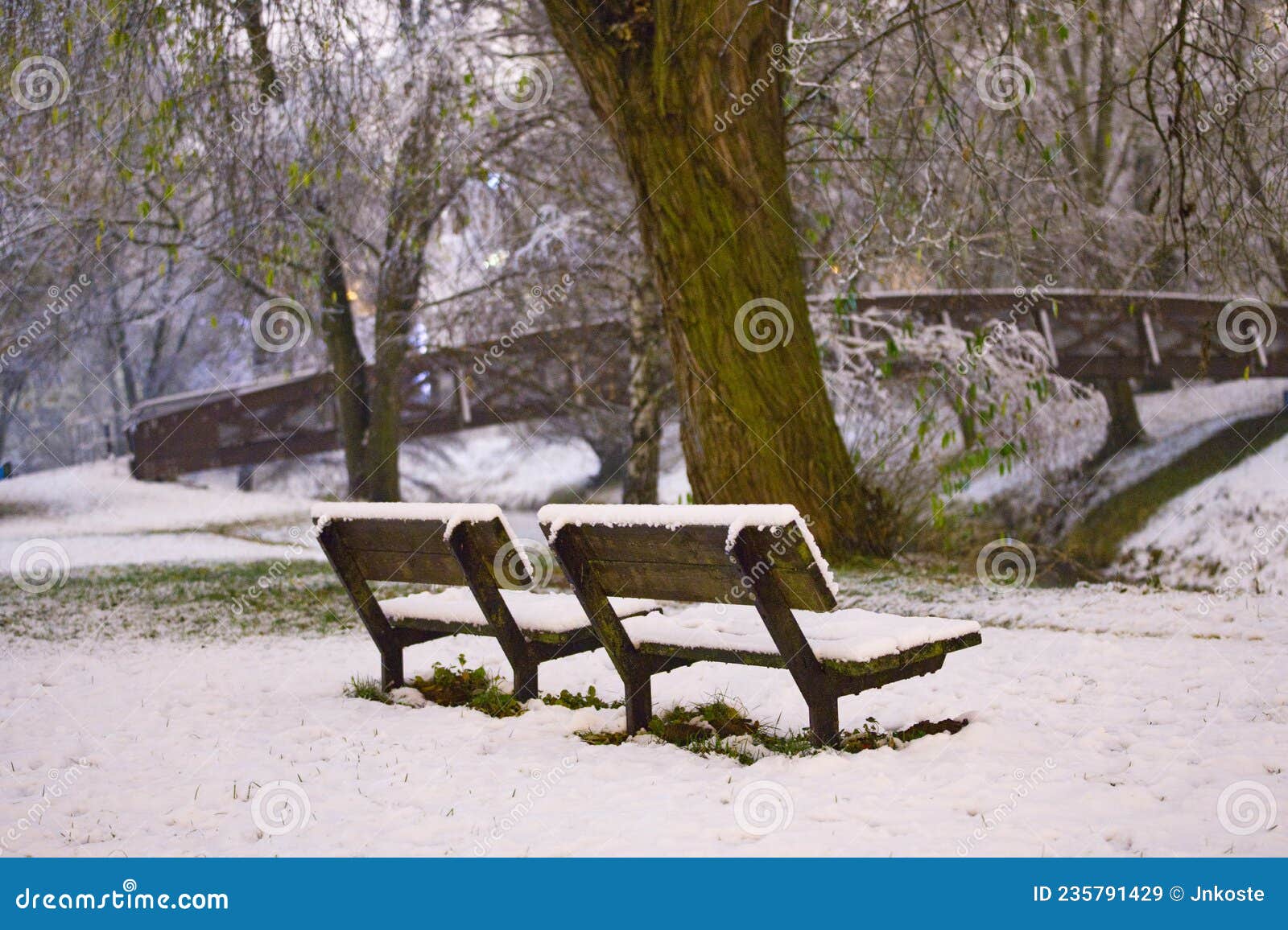 Benches in the Winter by River at Night in the Snow Stock Image - Image ...