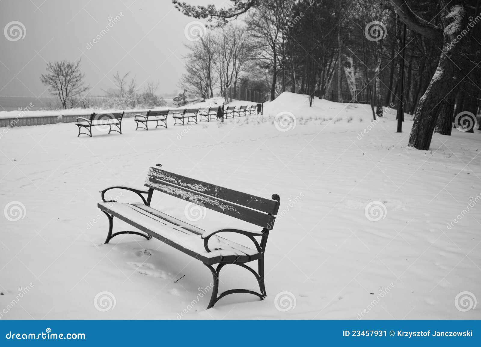 Benches in the Winter Scenery. Stock Image - Image of travel, baltic ...