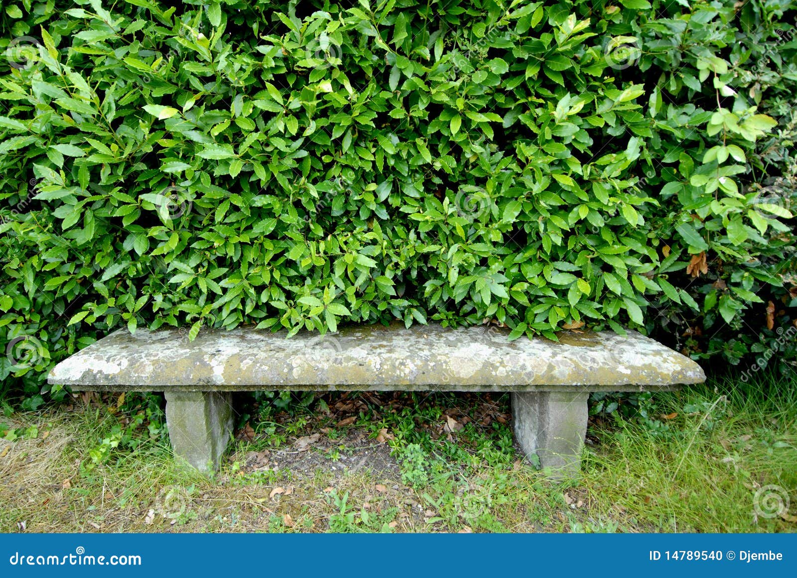 Benck stock photo. Image of silent, isolated, cally, bench - 14789540
