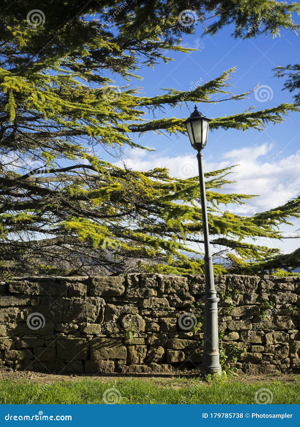 Bend Lamp in a Park with Trees Stock Photo - Image of alone, power ...