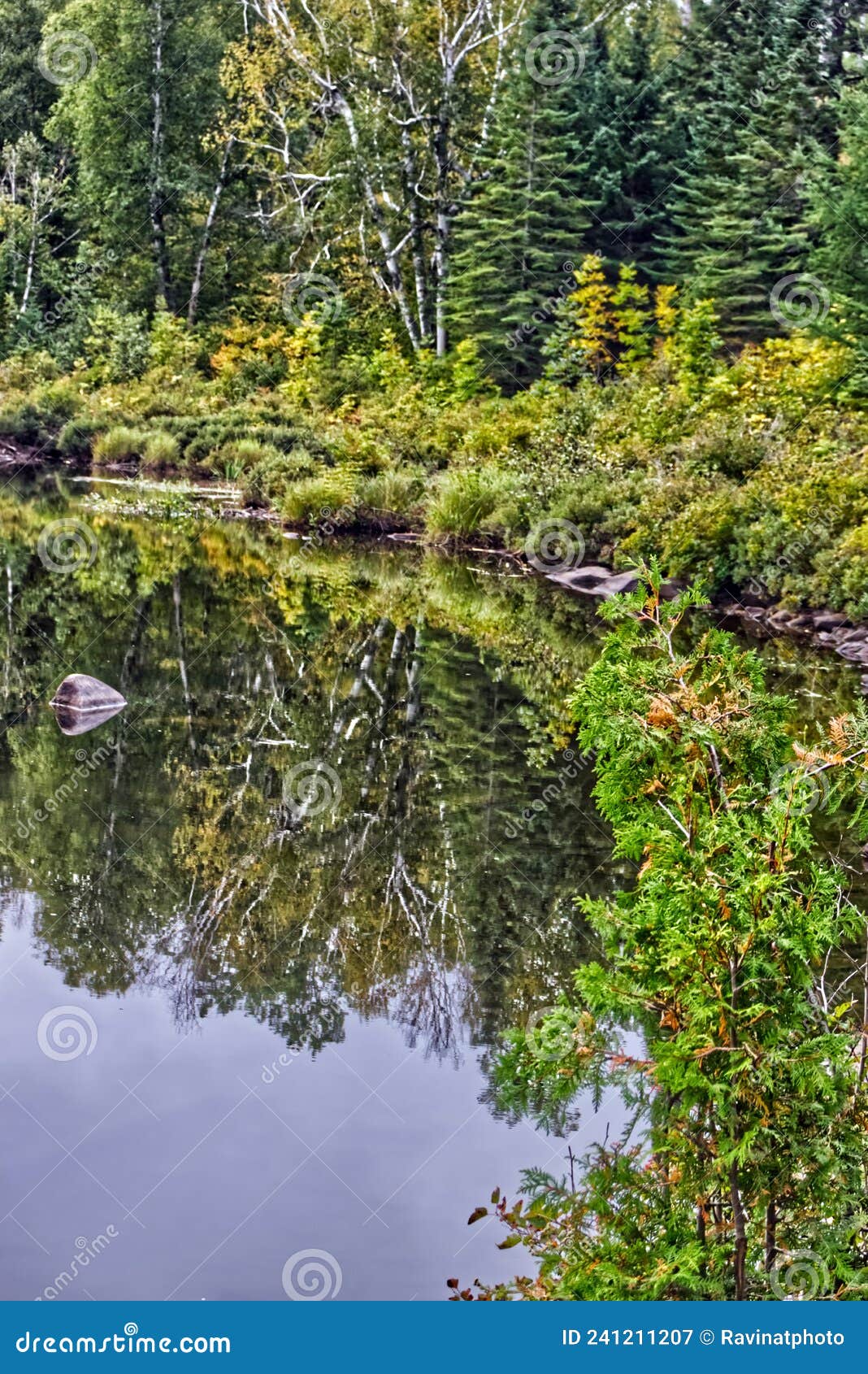 Bend in the River and Reflections - Current River, Thunder Bay, on ...