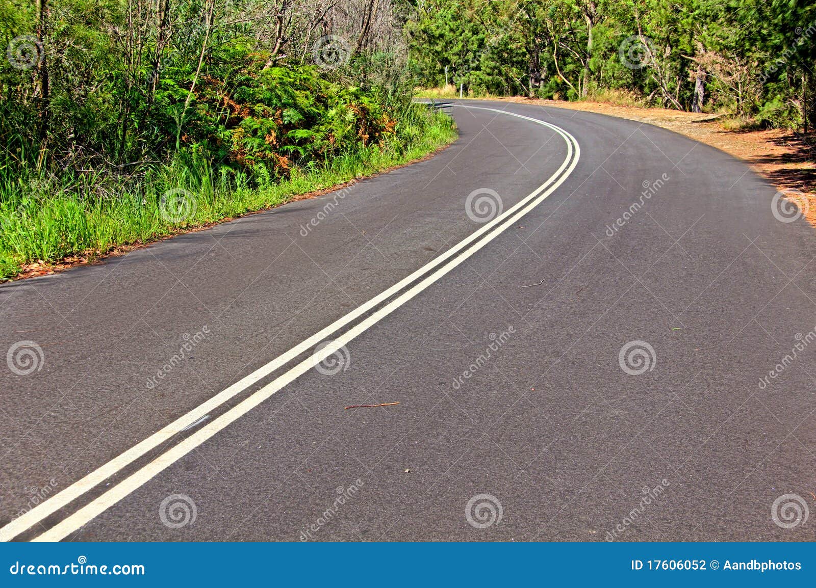 Bend in the Road stock photo. Image of hills, beautiful - 17606052