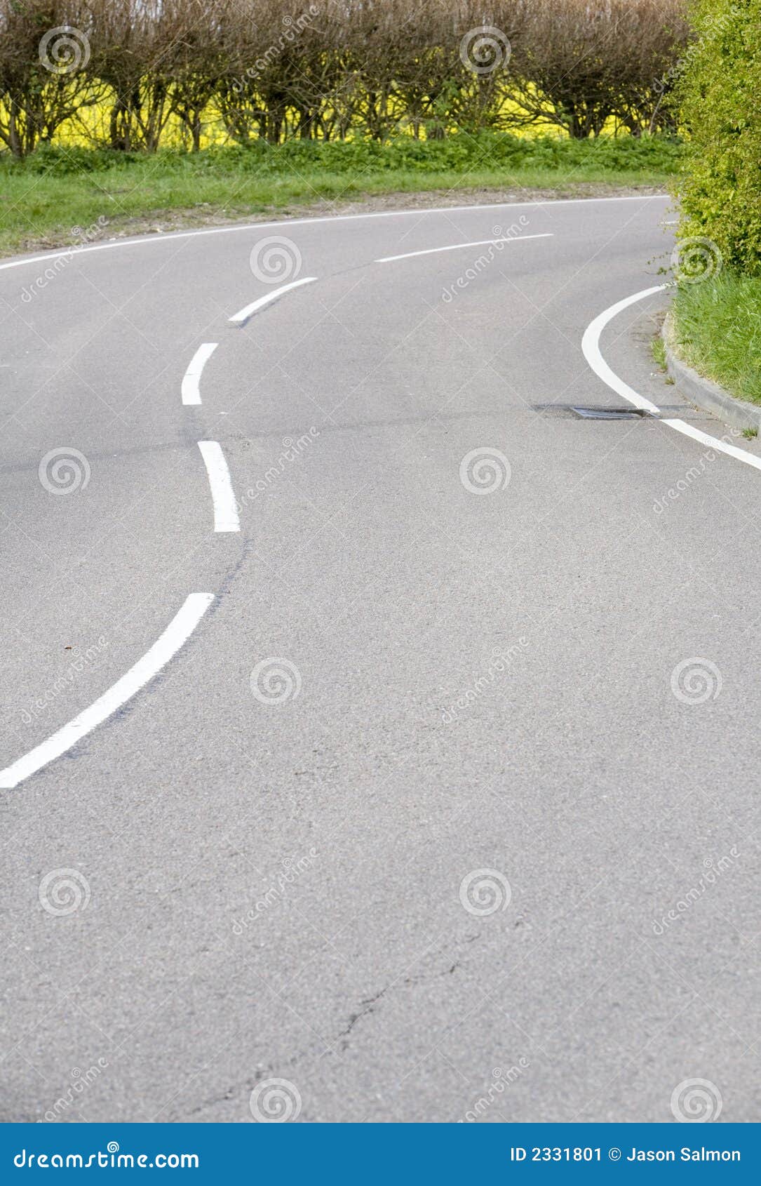 Bend in road stock image. Image of life, ground, track - 2331801