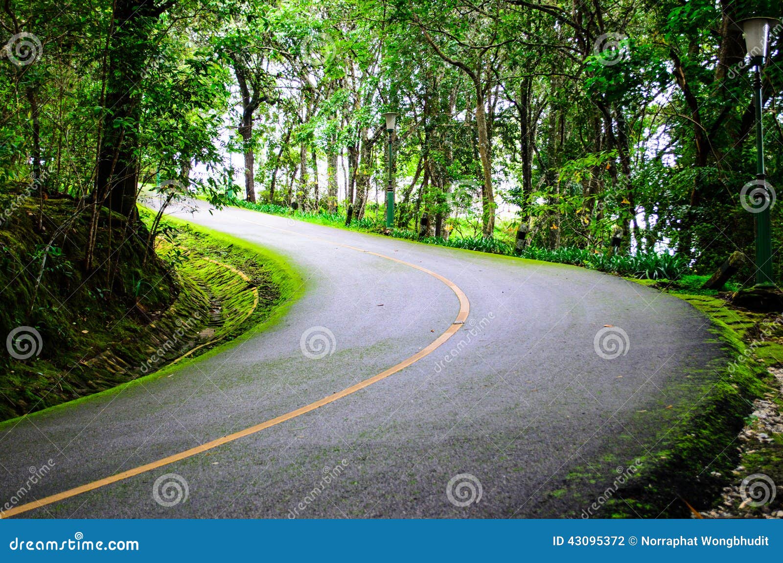 Bend in the Road stock photo. Image of bend, outdoors - 43095372