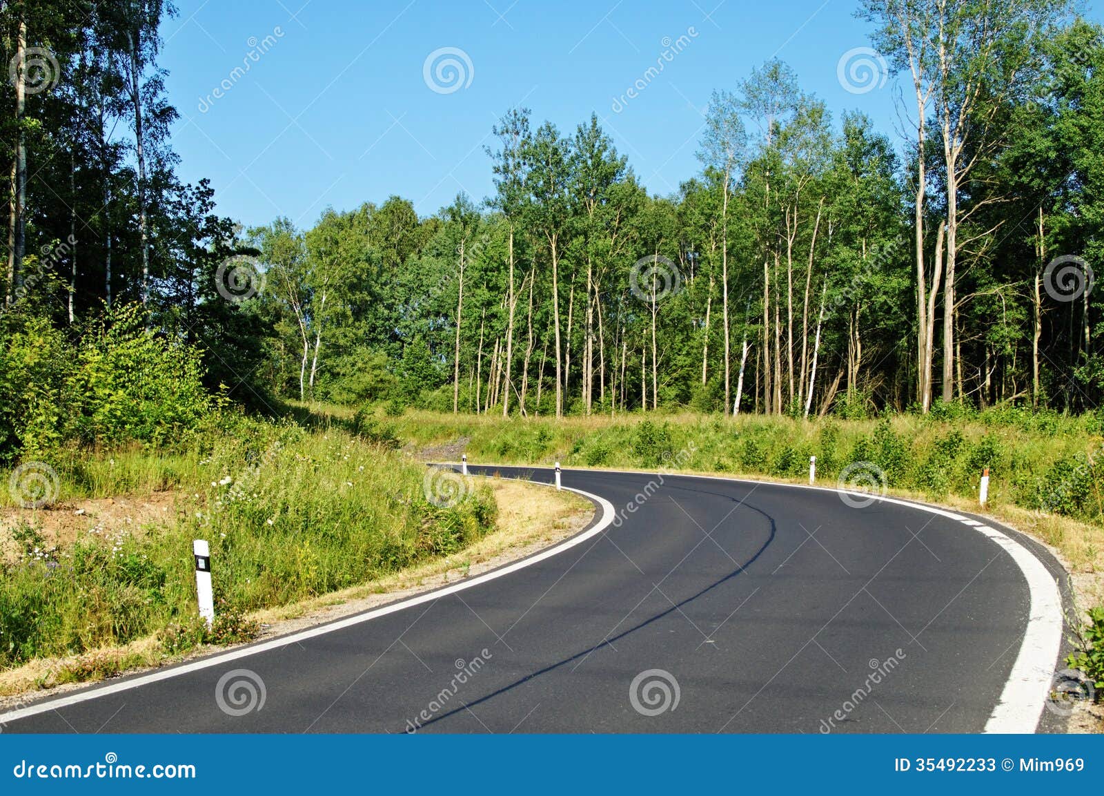 Bend of Road between Forests Stock Image - Image of motorway, blue ...