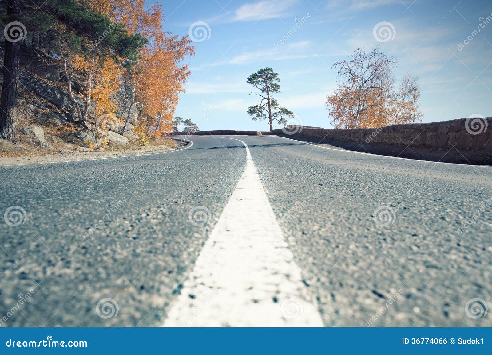 Bend in the road stock photo. Image of locations, backgrounds - 36774066