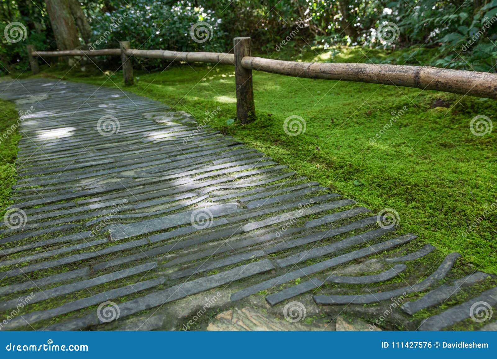 Bending Stone Path, Japanese Garden Stock Photo - Image of backyard ...