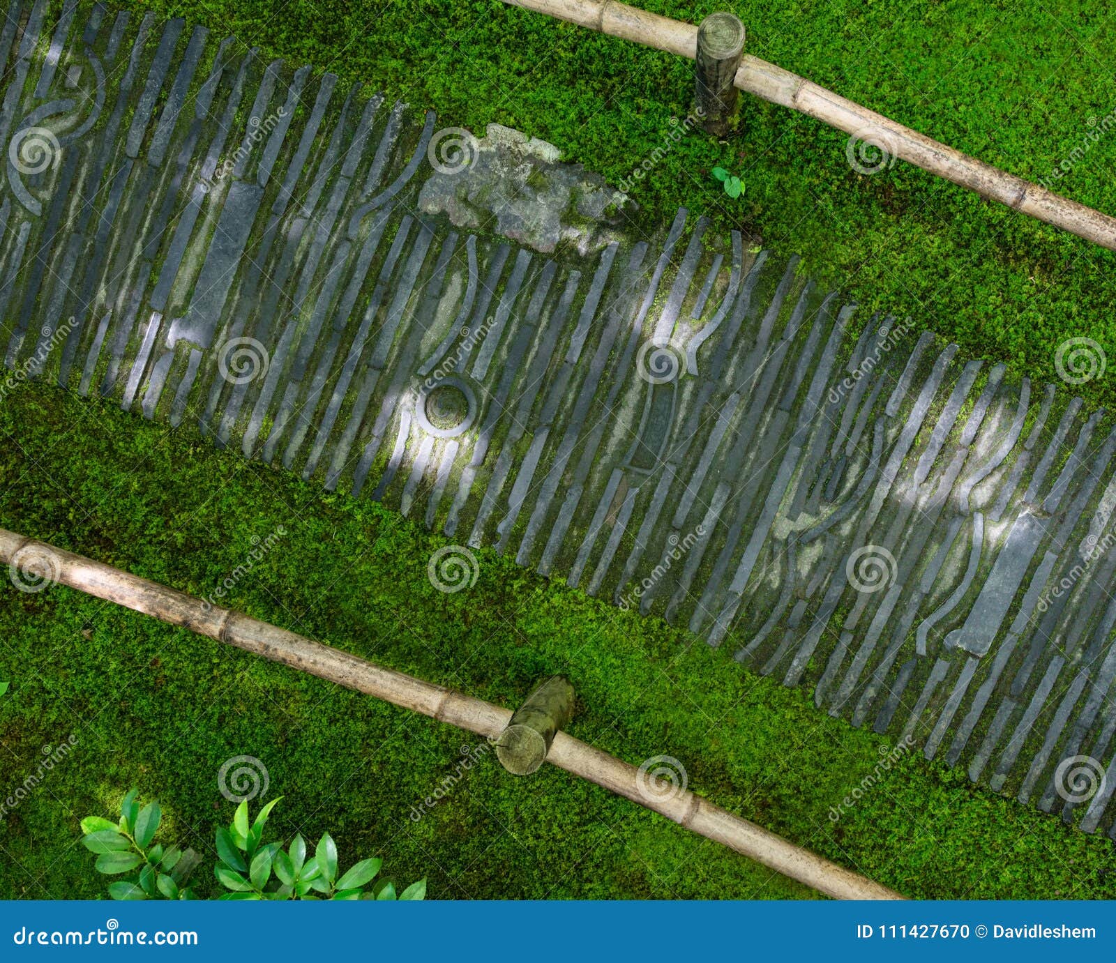 Bending Stone Mountain Ridges Flow Across Glacier National Park Stock ...