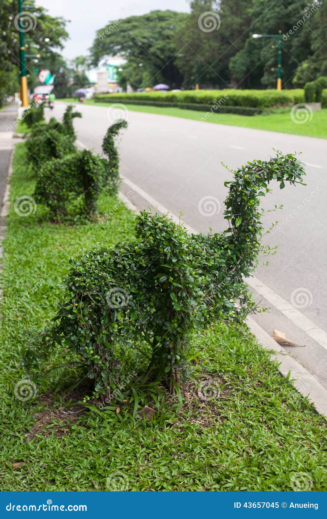 Bending Elephant Trees Stock Photography | CartoonDealer.com #43500194