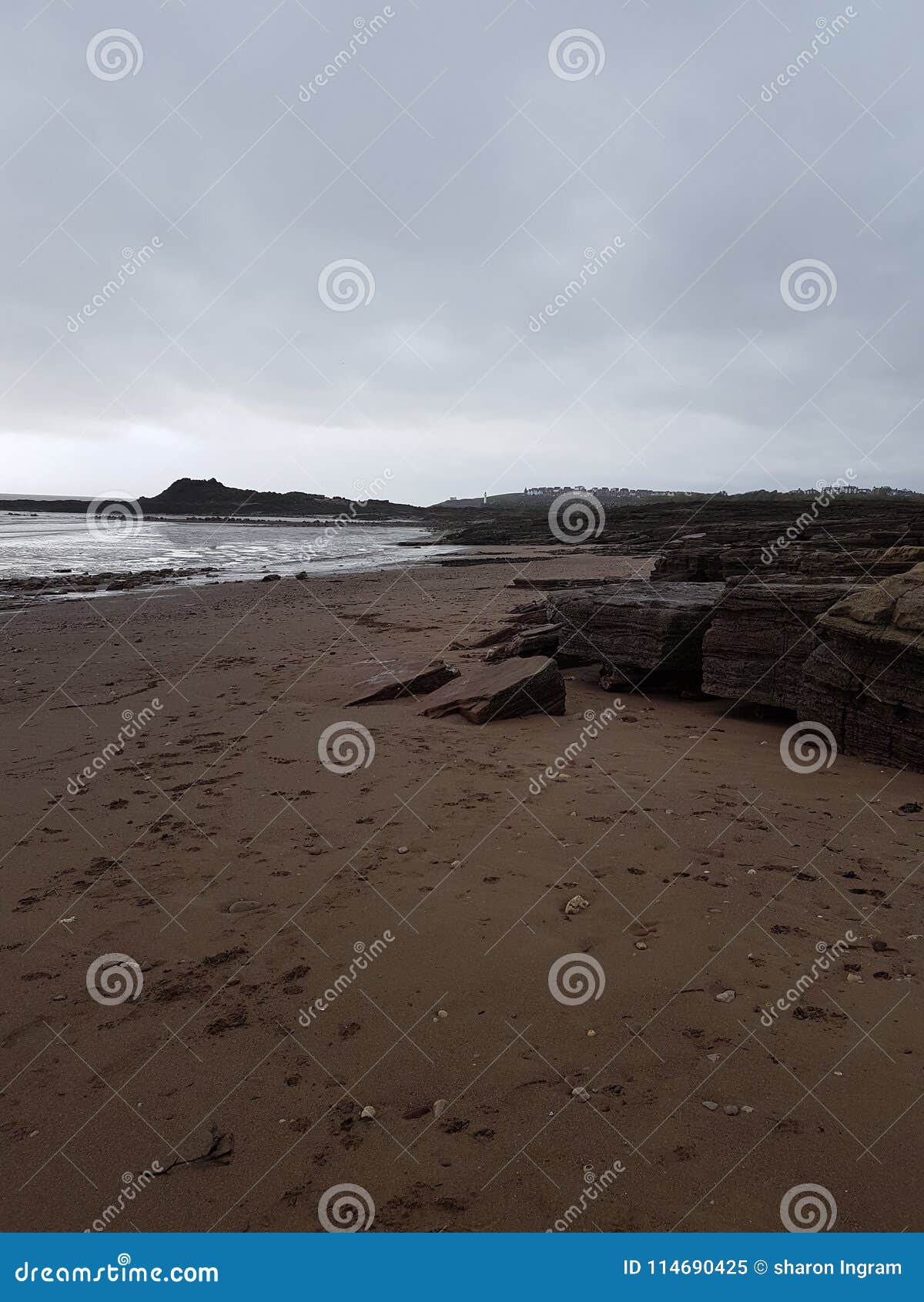 Bendricks stock image. Image of like, bendricks, back - 114690425