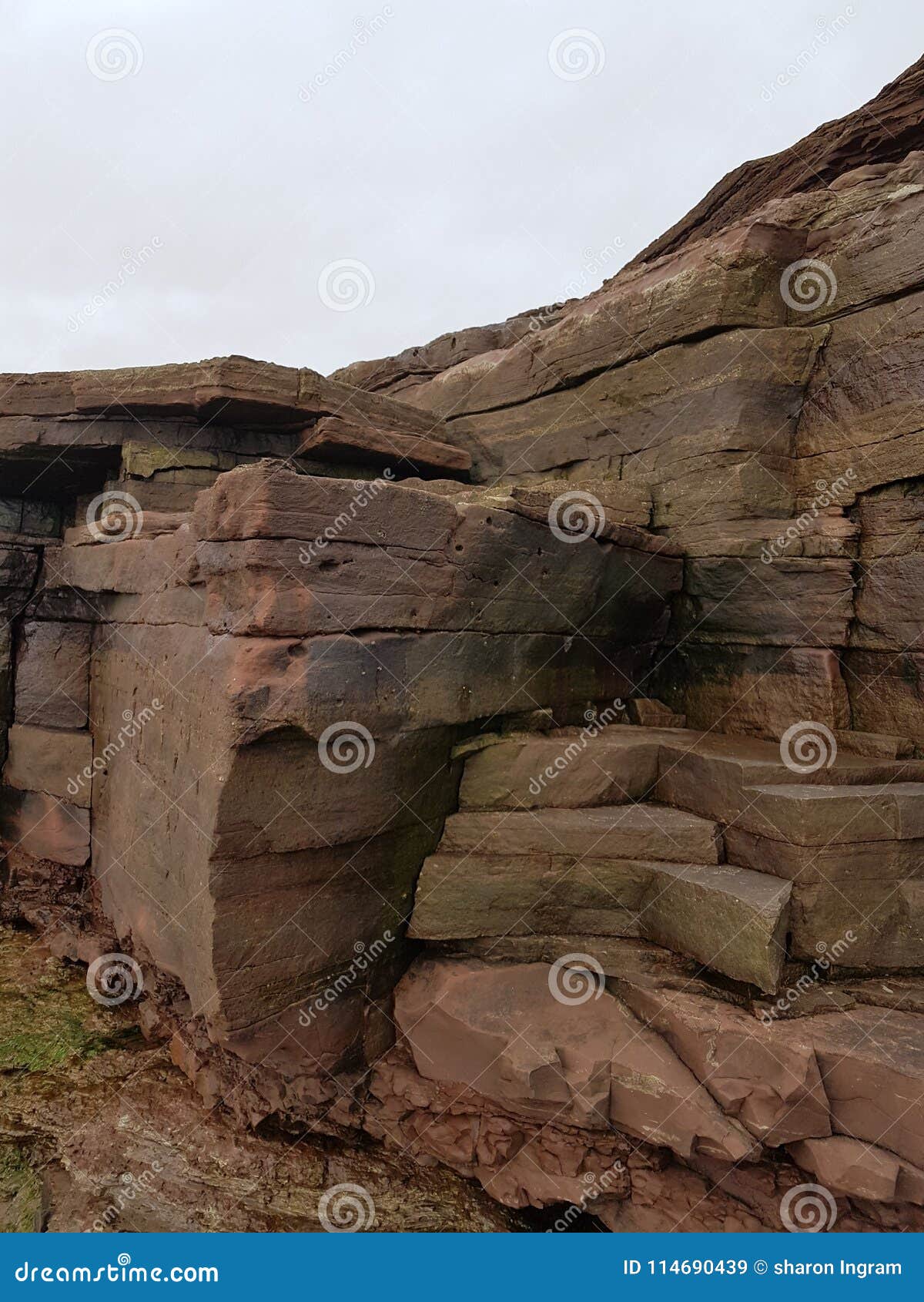 Bendricks stock image. Image of beach, like, bendricks - 114690439