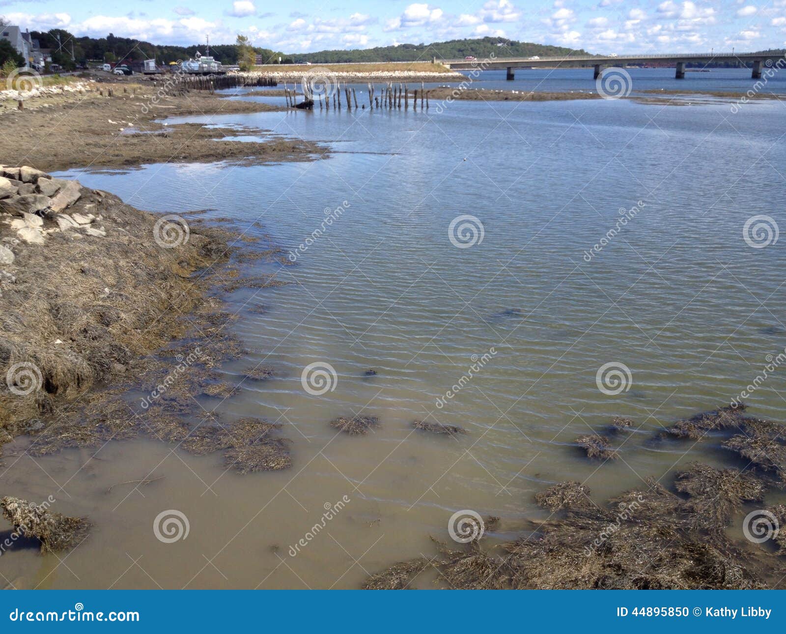 Beneath the coastal waters stock photo. Image of beneath - 44895850