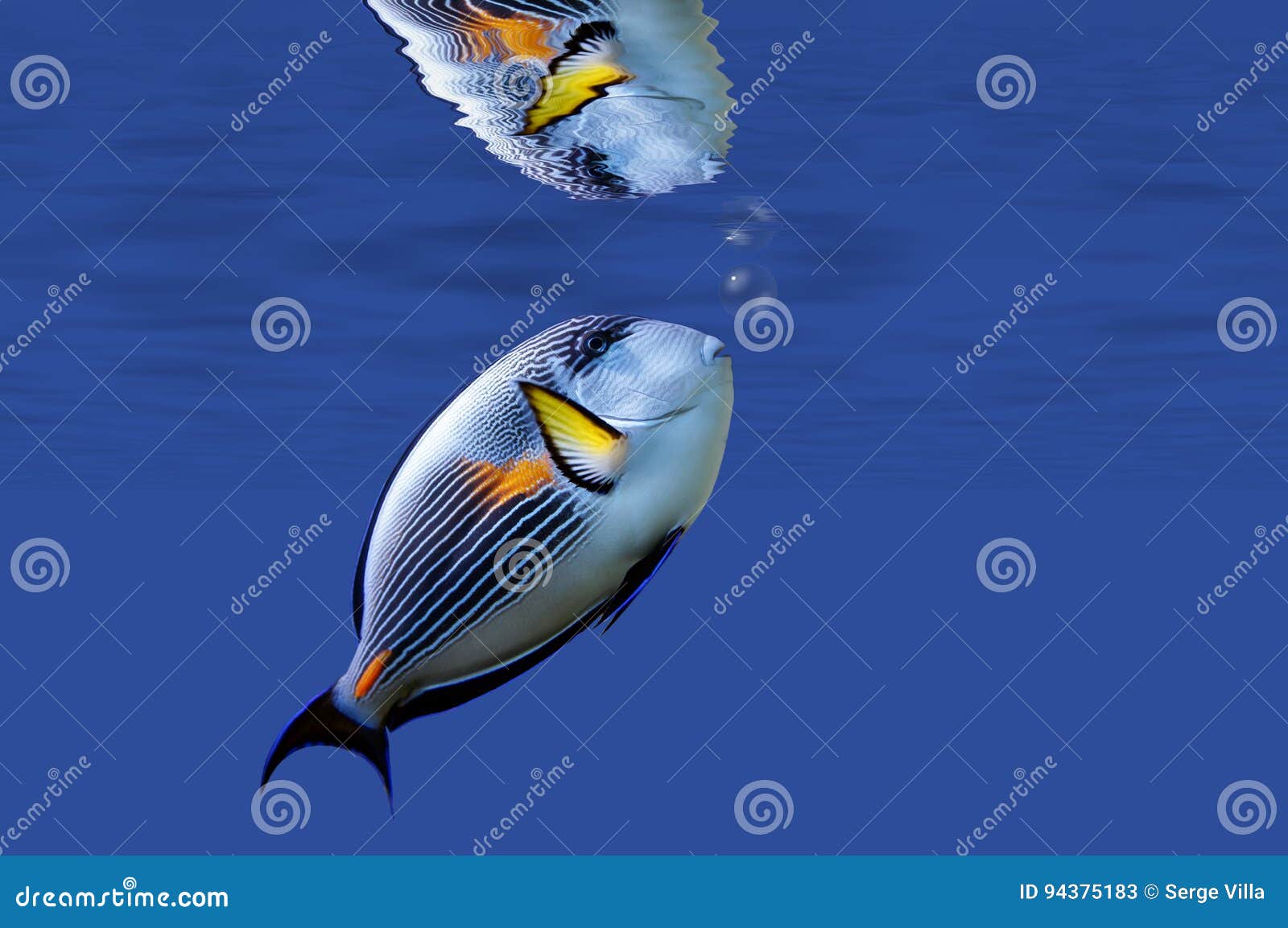 Beneath the surface stock illustration. Illustration of mirror - 94375183