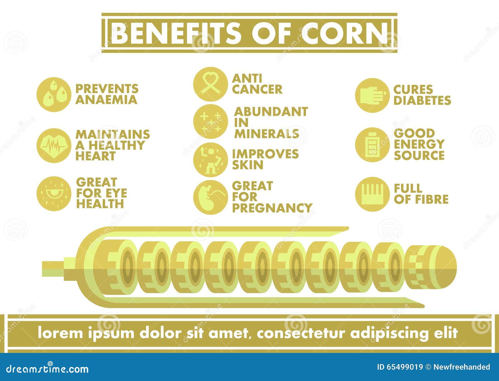 Benefits of Corn Infographics - Vector Flat Design Stock Vector ...