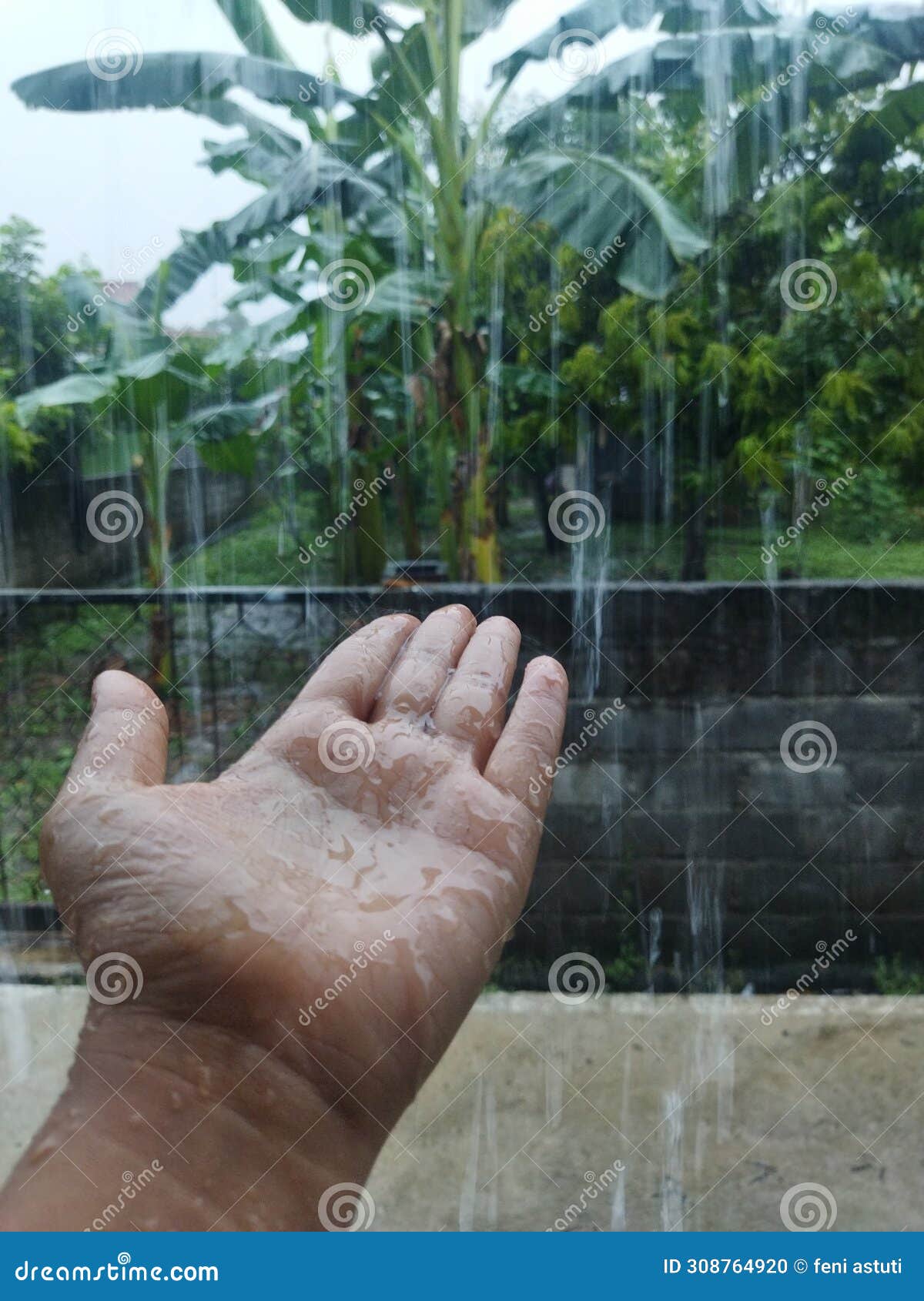 The Benefits of Rainwater are the Main Source of Fresh Water on Earth ...