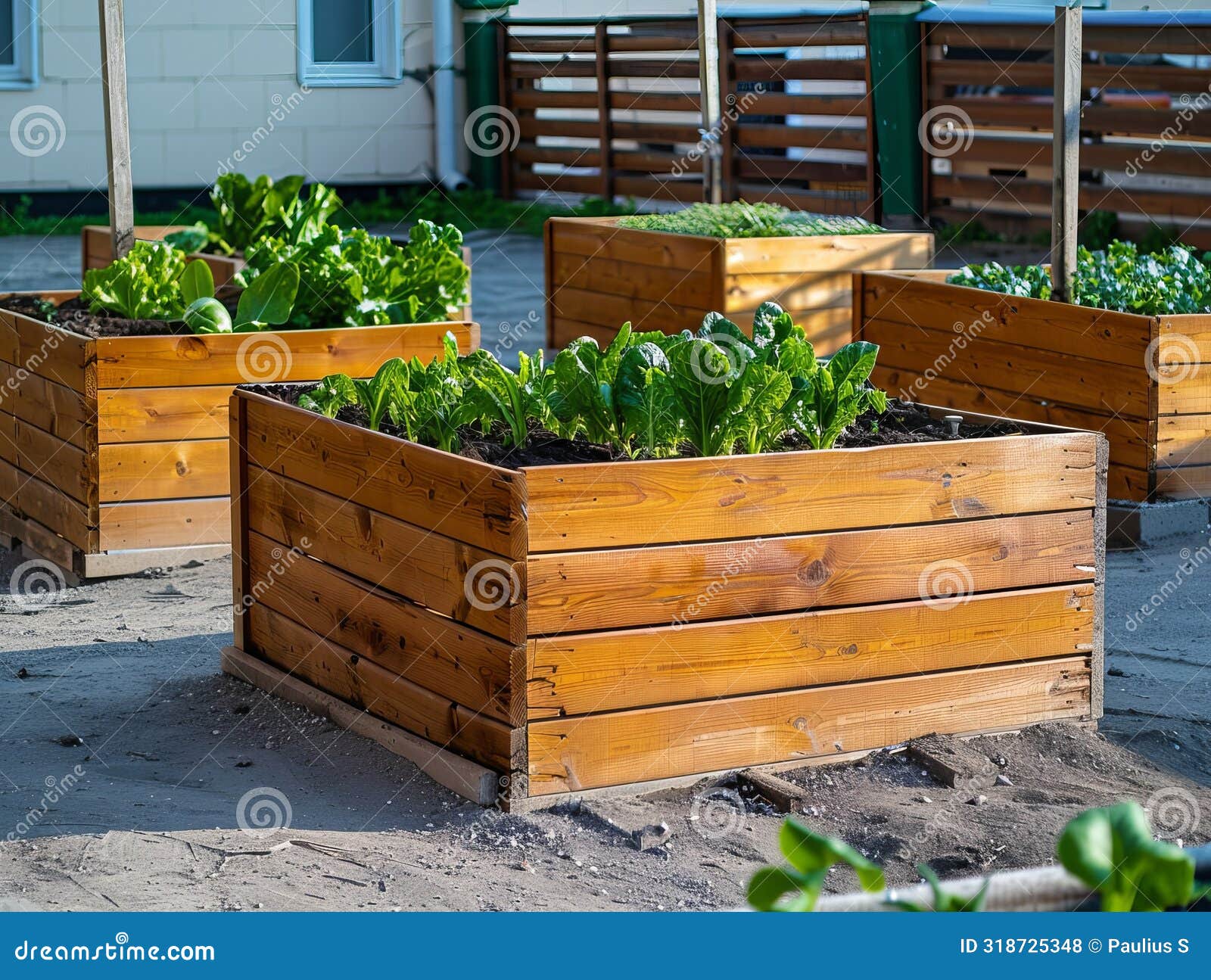 The Benefits of Using Empty Wooden Planter Boxes for Easy Vegetable ...
