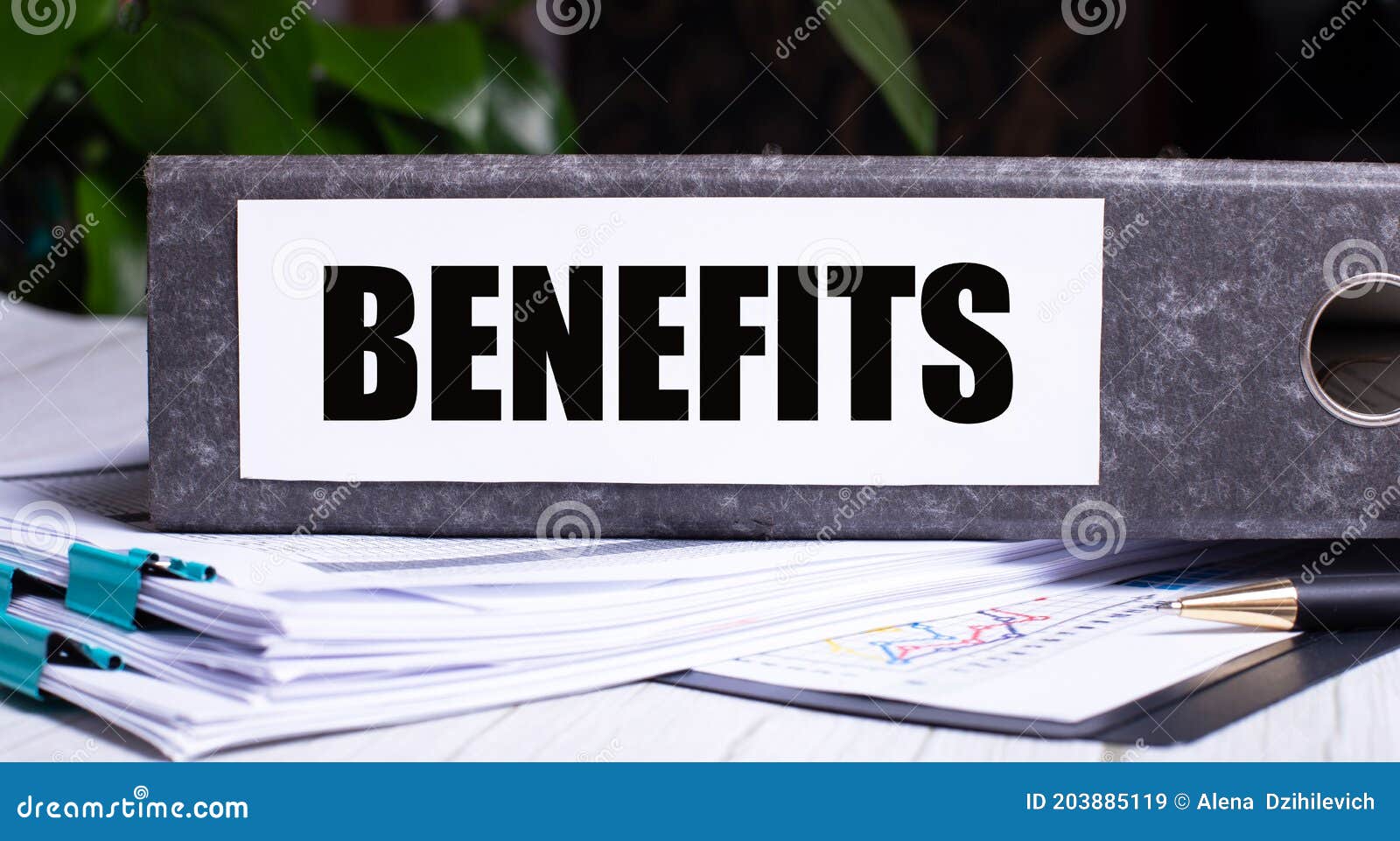 BENEFITS is Written on a Gray File Folder Next To Documents. Business ...