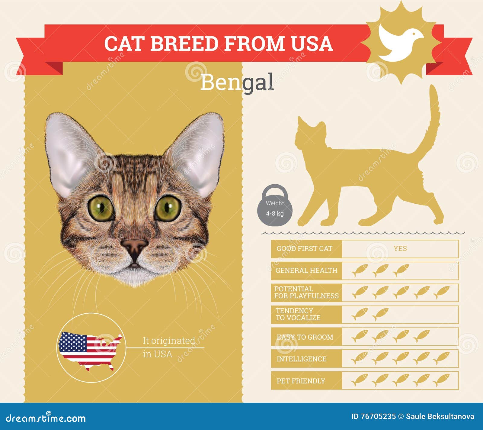 Bengal Cat Breed Infographics Stock Illustration - Illustration of ...