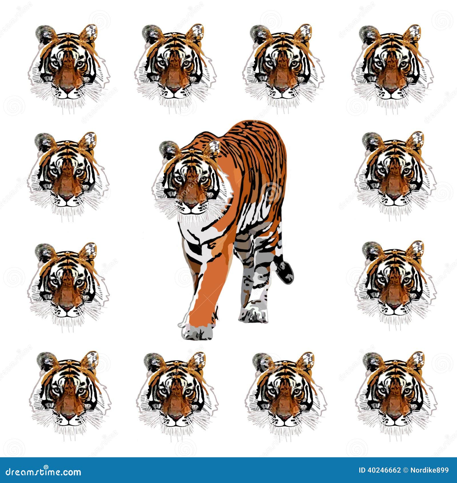 Bengal Tiger stock illustration. Illustration of bengal - 40246662