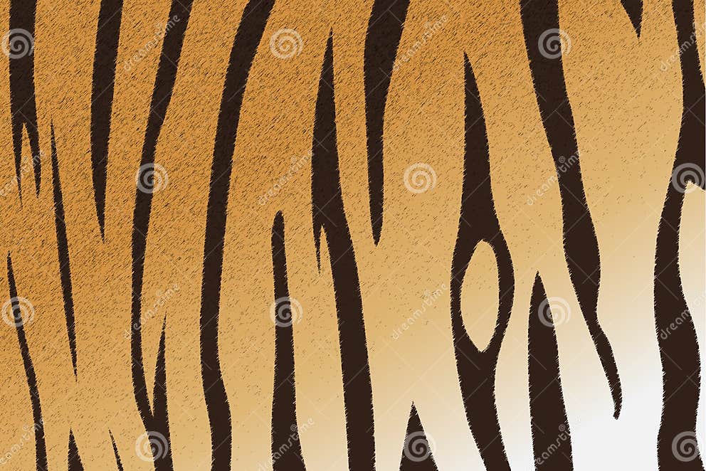 Bengal Tiger Stripe Pattern Stock Illustration - Illustration of ...