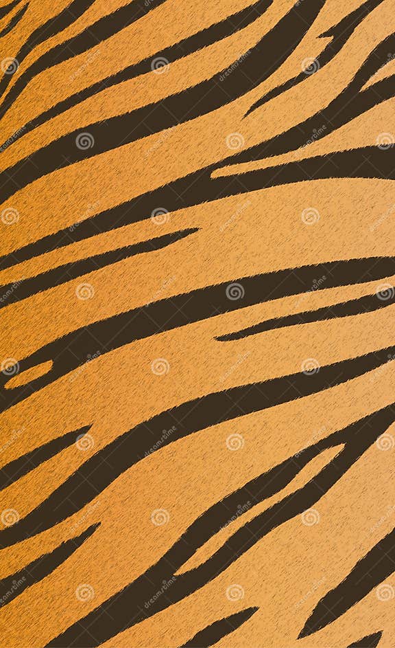 Bengal Tiger Stripe Pattern Stock Illustration - Illustration of ...