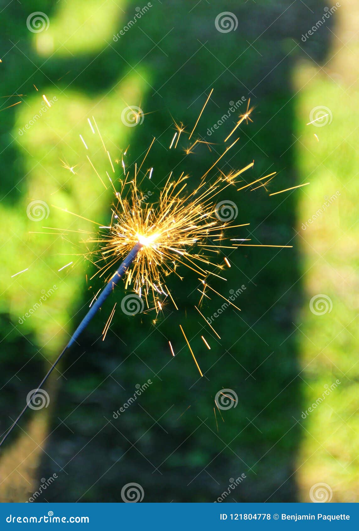 Bengala en el fuego foto de archivo. Imagen de verde - 121804778