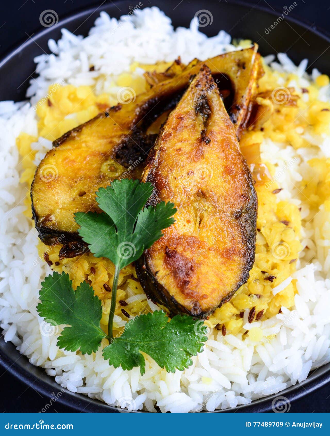 Bengali Fish Fry stock image. Image of gujarati, curry - 77489709