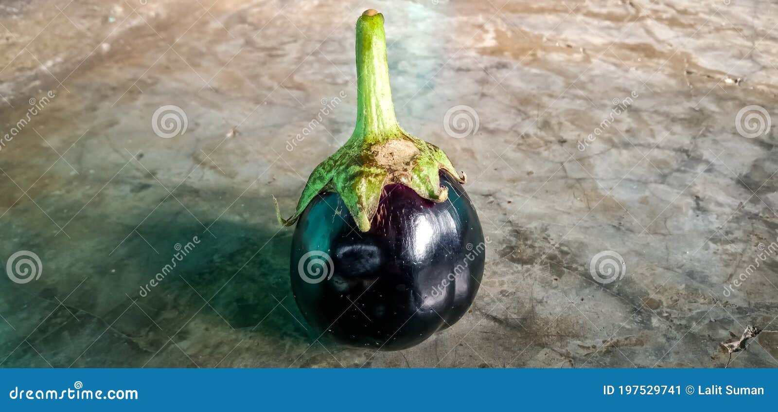 Bengan, Black Eggplant Image Stock Image - Image of natural, bengan ...