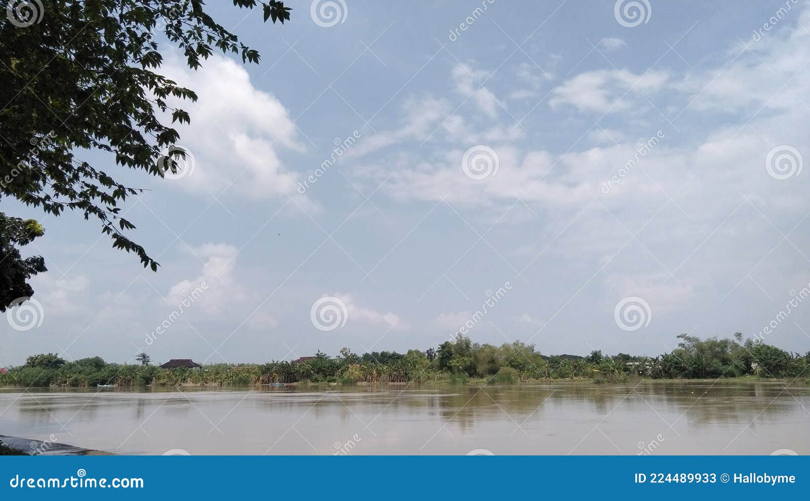 Bengawan solo stock image. Image of nature, solo, bengawan - 224489933