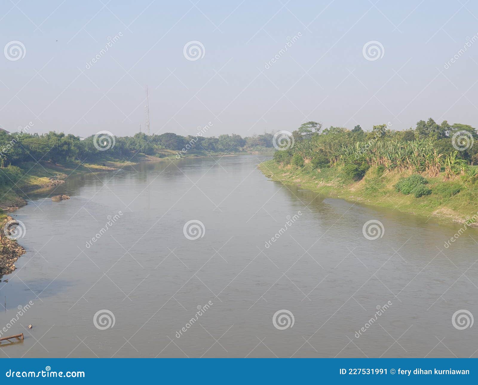 Bengawan solo river stock image. Image of river, wetland - 227531991