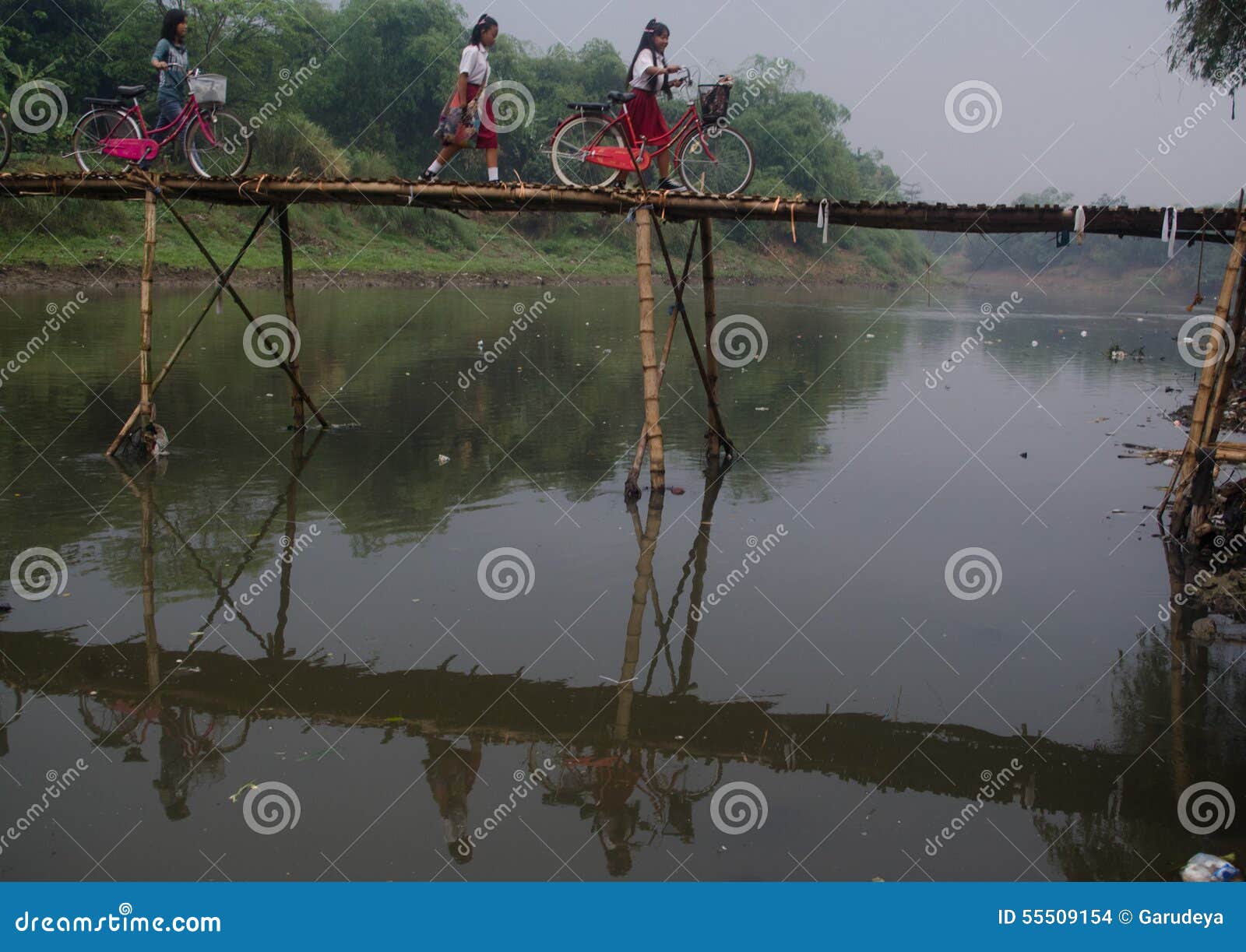 BENGAWAN SOLO RIVER editorial stock image. Image of great - 55509154