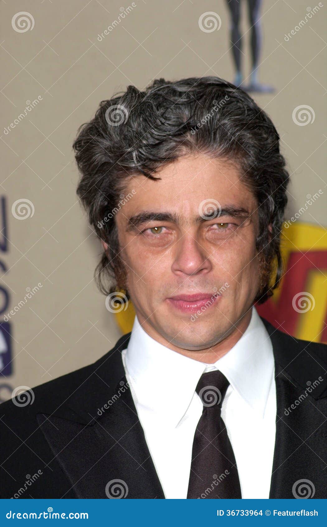 Benicio Del Toro imagen de archivo editorial. Imagen de conjunto - 36733964