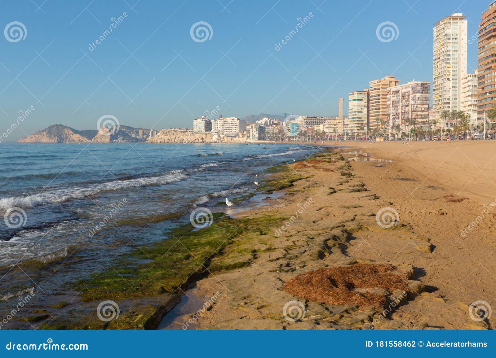Benidorm Beach Spain with Waves and Seafront Stock Photo - Image of ...