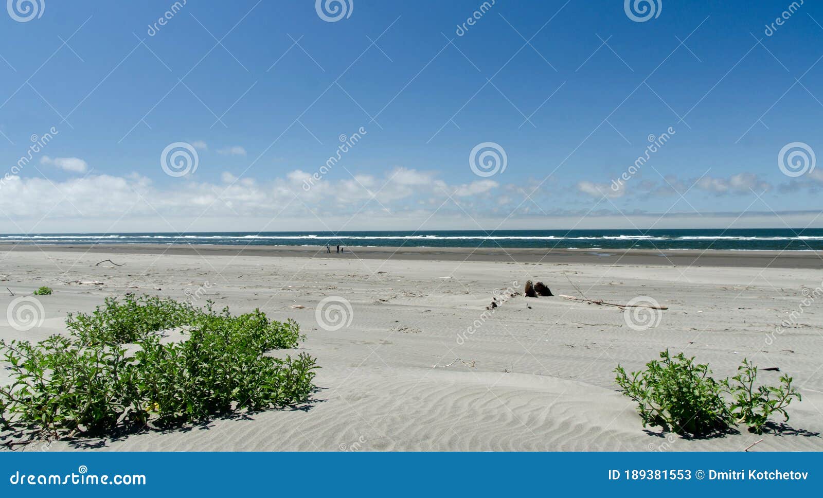Empty Benson Beach Cape Disappointment State Park, Washington Stock ...