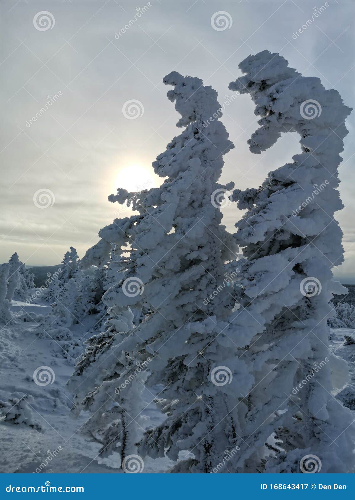 Wind Snow Pattern Background Stock Photography | CartoonDealer.com ...