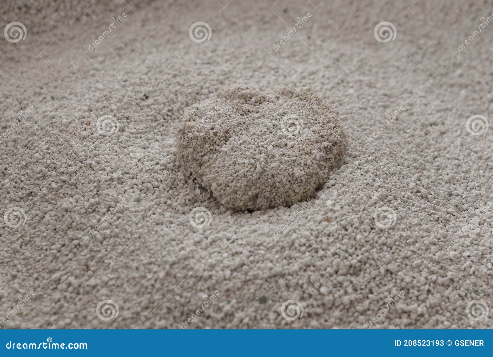Bentonite Clumping Cat Litter Stock Image - Image of care, dirty: 208523193