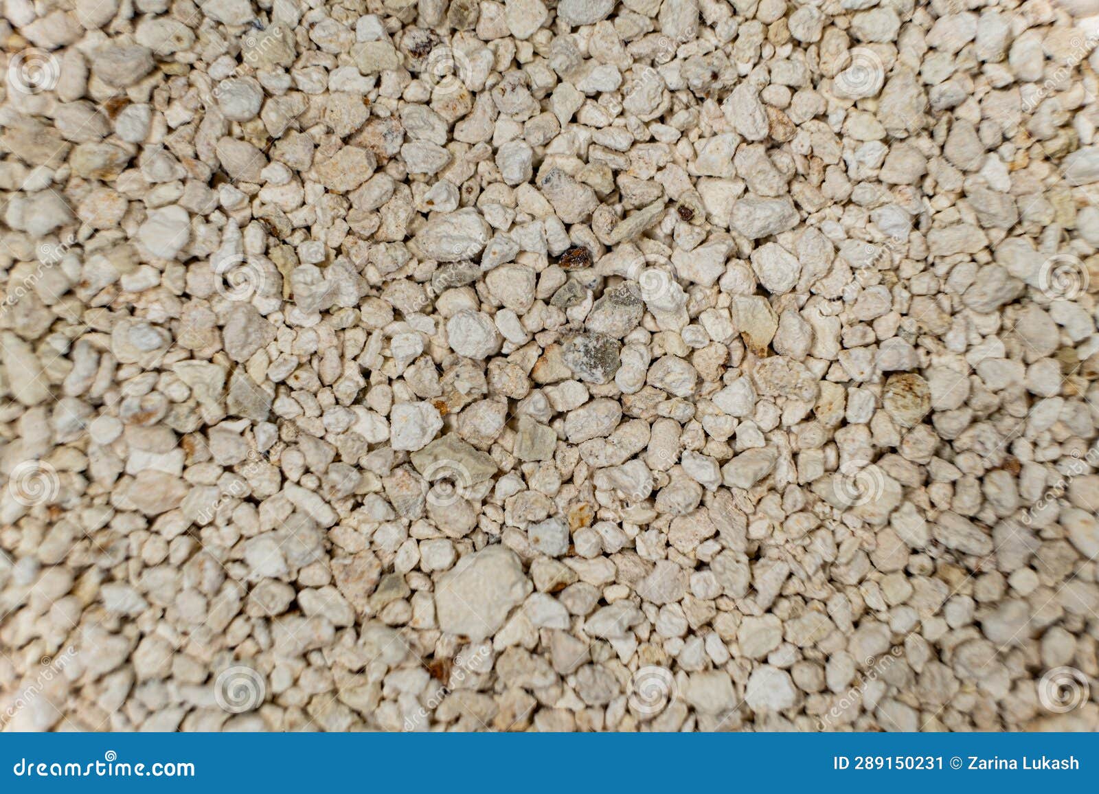 Bentonite Clumping Clay Litter for Cat Litter Box and Pets Close-up ...