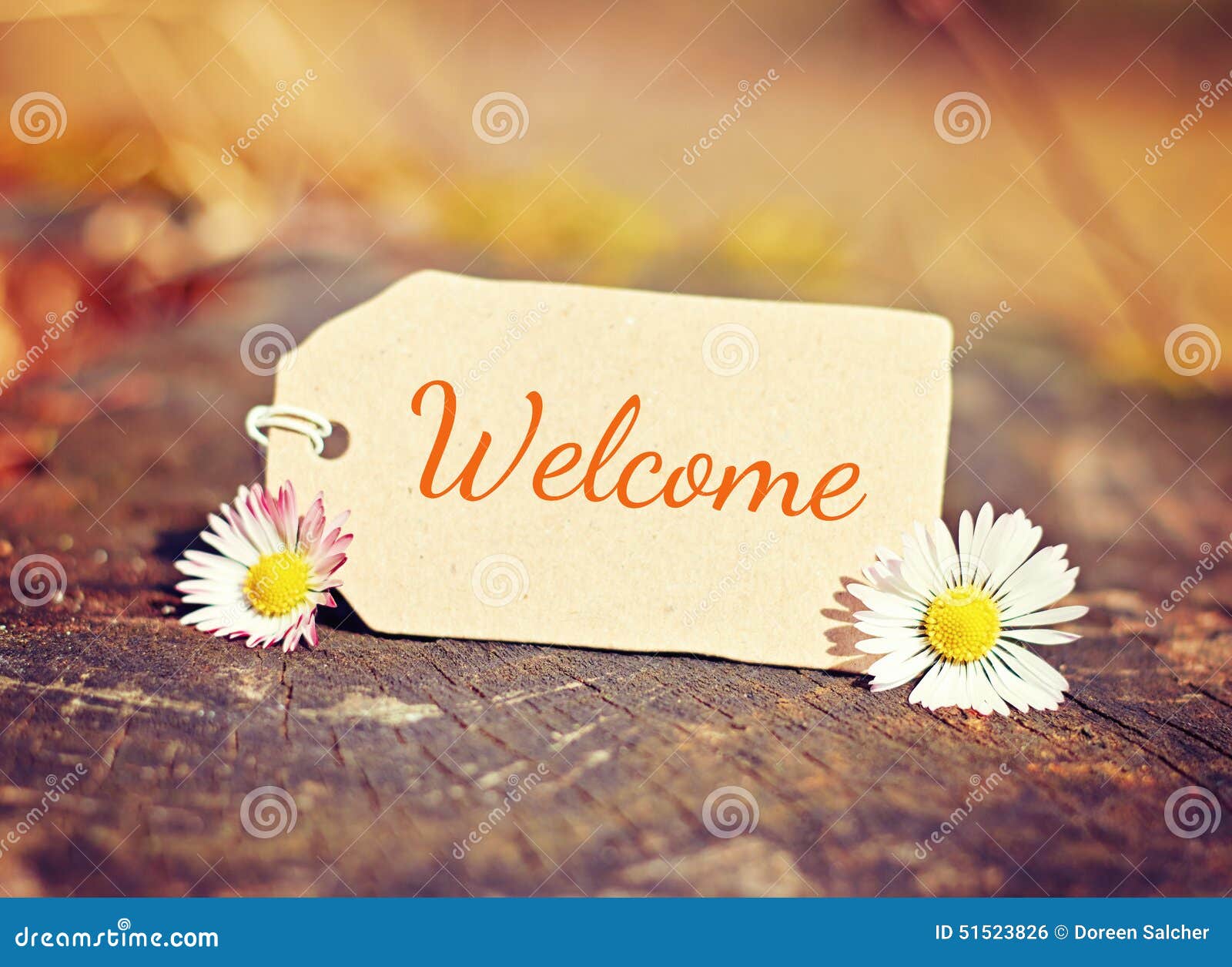 Benvenuto del fondo fotografia stock. Immagine di pietra - 51523826