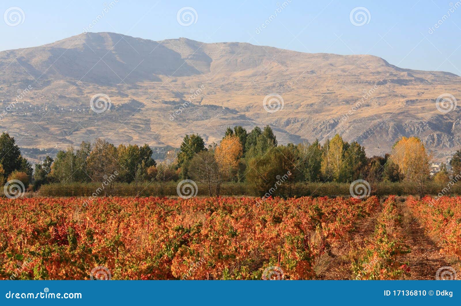 Beqaa Valley, Lebanon stock photo. Image of range, beqaa - 17136810