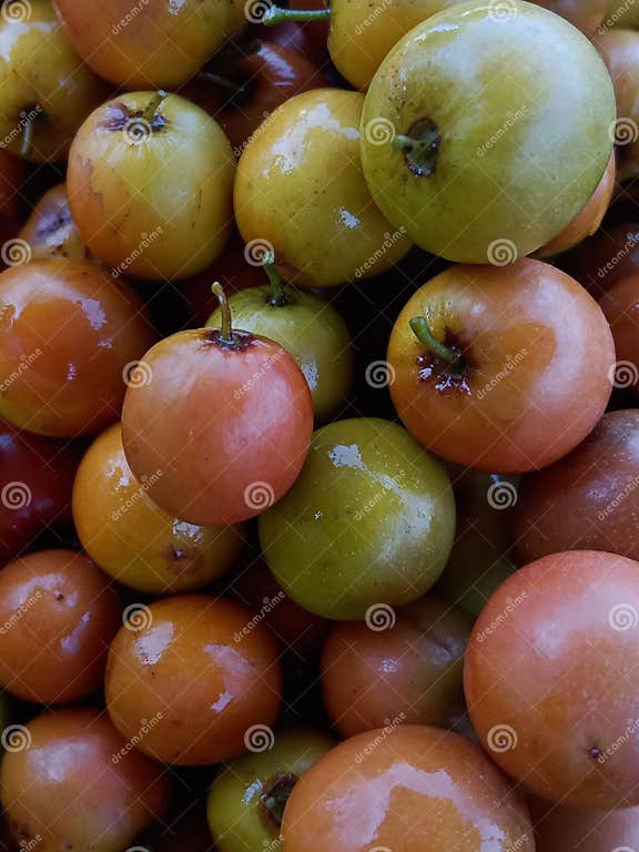 Ber Fruit with Indian & X28; Jujube& X29; Stock Photo - Image of jujube ...