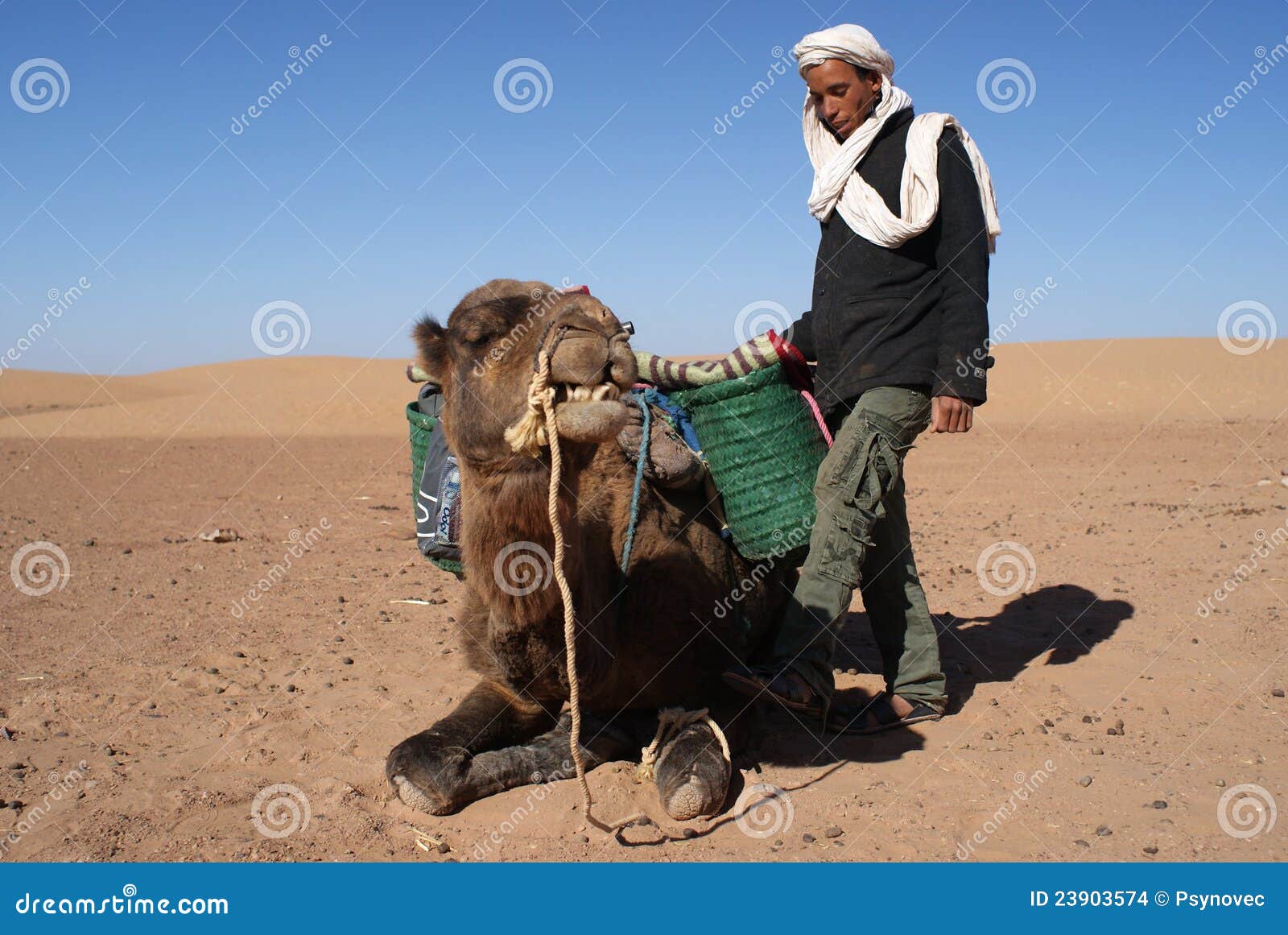 Berber and camel editorial stock image. Image of sand - 23903574