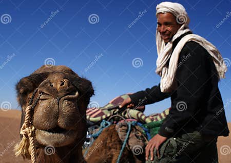 Berber and camel in detail editorial stock image. Image of animal ...