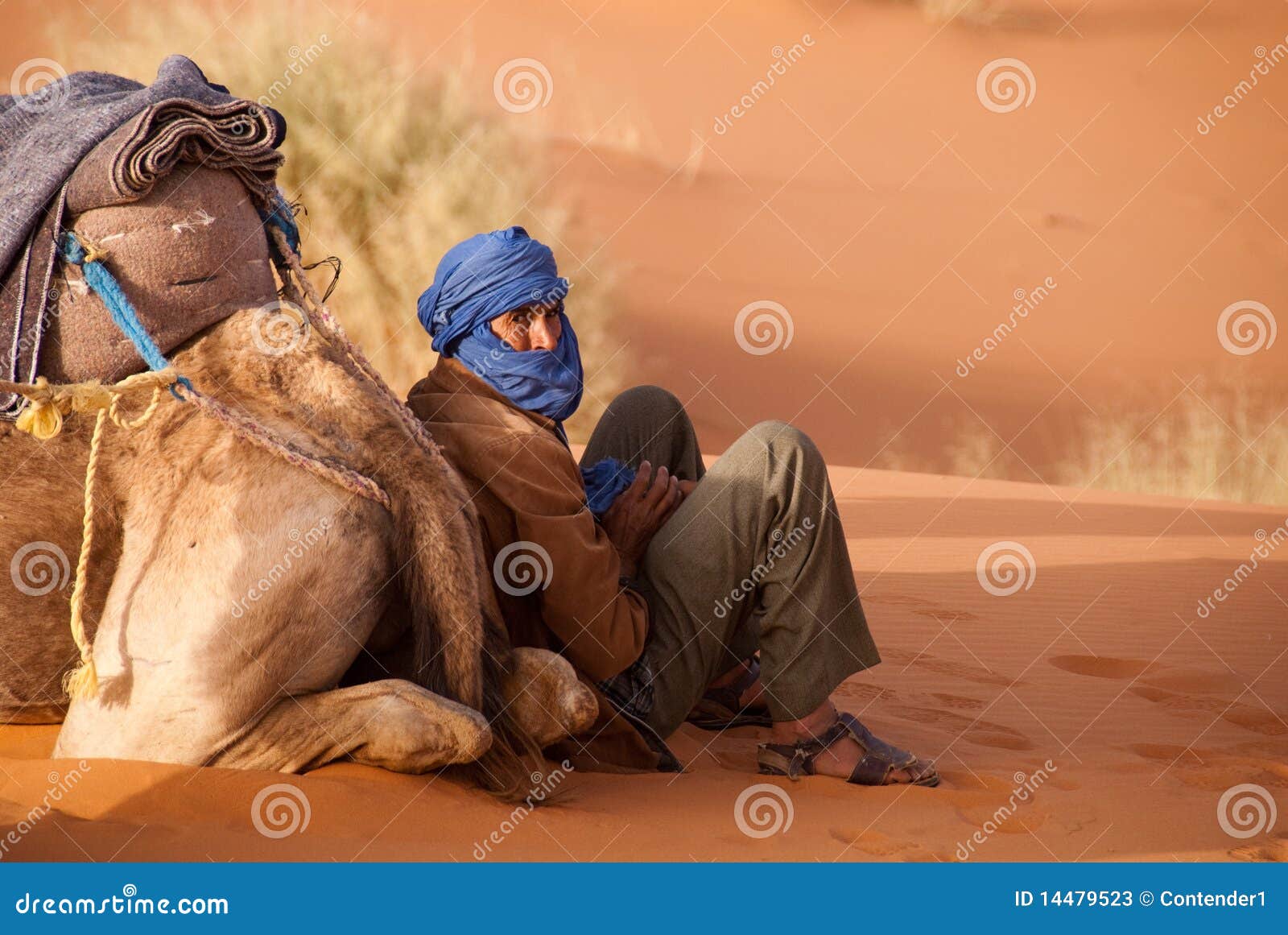 Berber Camel Guide Takes a Break Morocco Editorial Stock Photo - Image ...