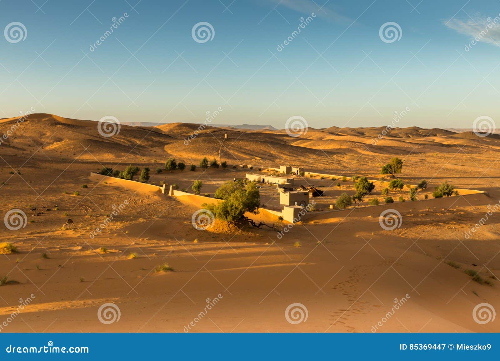 The Berber Camp in Sahara Desert, Morocco Stock Image - Image of ...